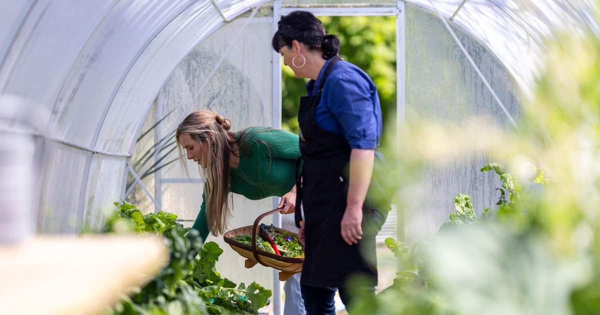 Kaikoura: Hapuku Kitchen Taste of the farm - Half day class | GetYourGuide