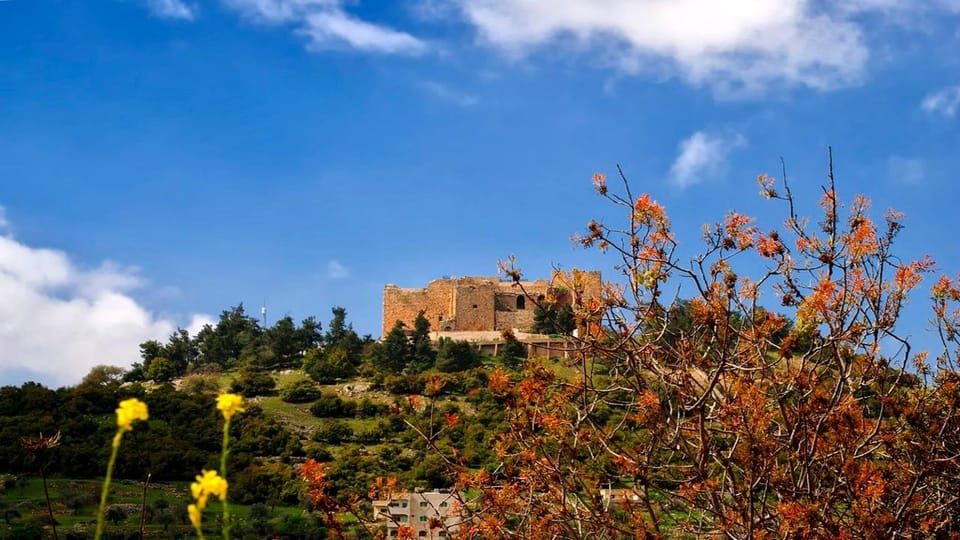 Private Jerash, Ajloun Castle, and Umm Qais Tour,From Amman | GetYourGuide