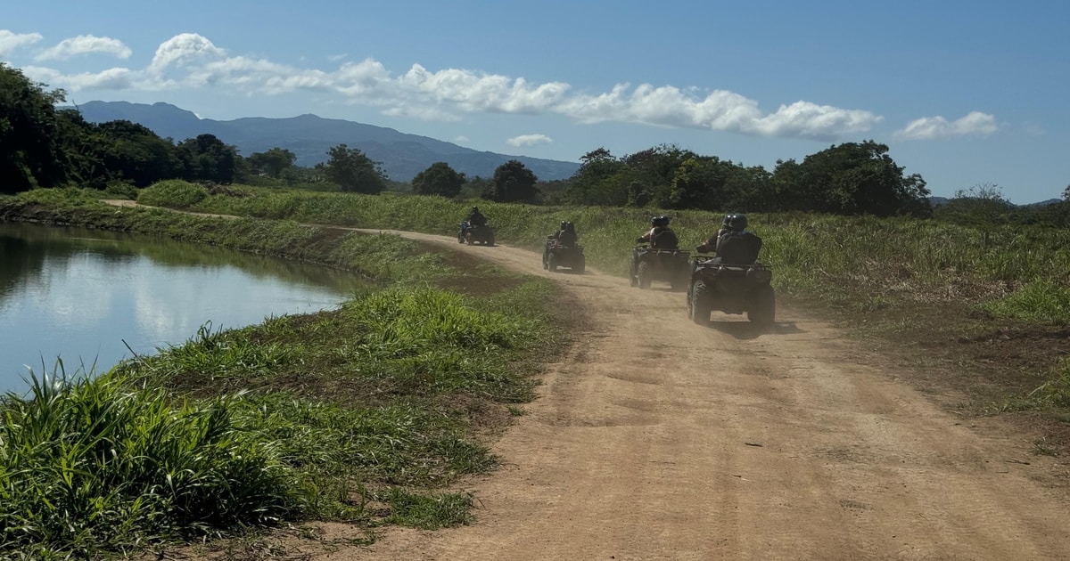 Puerto Rico: Hacienda Campo Rico ATV Experience with Pickup | GetYourGuide