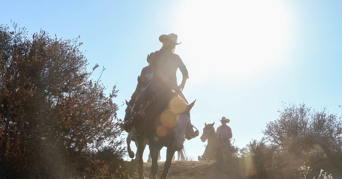 Half Day Horseback Riding Experience through Joshua Tree | GetYourGuide