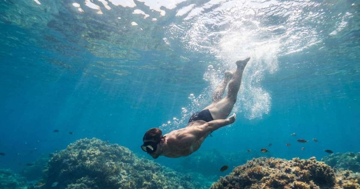 Coll Baix: begeleide snorkeltour op geringe diepte. Mariene fauna en ...