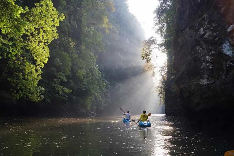 Krabi : Kayak dans la baie d'Ao Thalane Belle forêt de mangroves ...