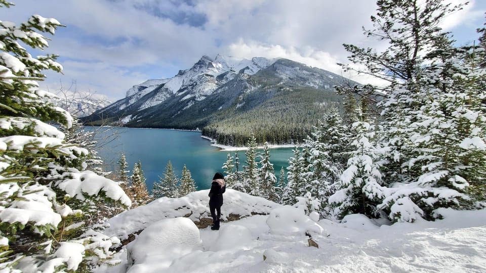 Desde Calgary: Excursión de un día al Parque Nacional de Banff ...