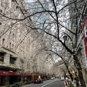 Tokyo Tour with Private Vehicle and English Speaking Guide - 2026 ...