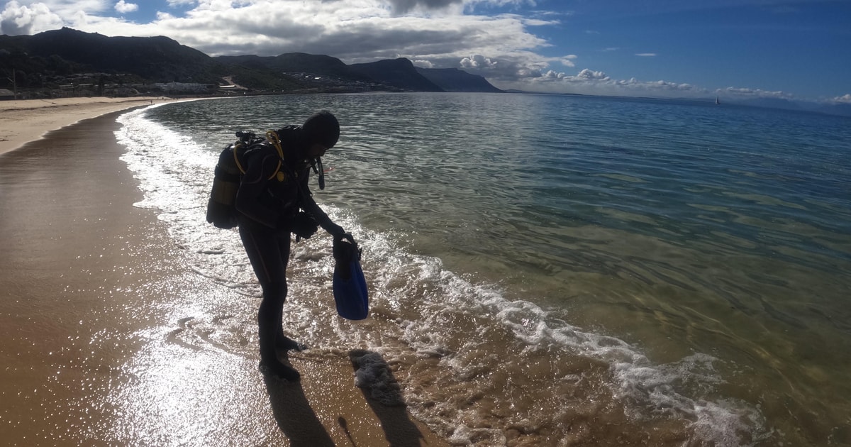 Cape Town: Scuba Diving Experience for Beginners | GetYourGuide