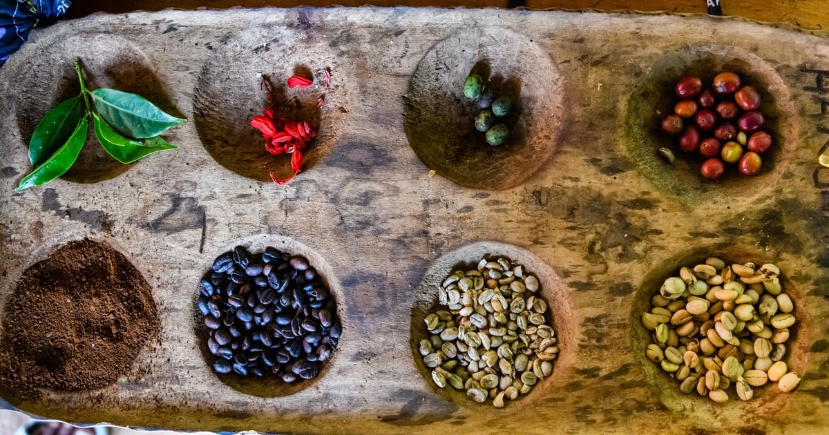 Arusha: Traditional Coffee Preparation(coffee tour) | GetYourGuide