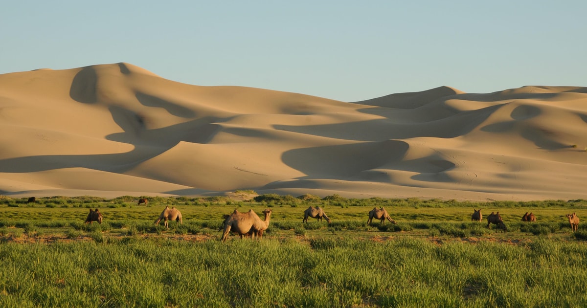 Kharkhorum, Mini Gobi och Ger under stjärnorna: 3-dagarstur | GetYourGuide