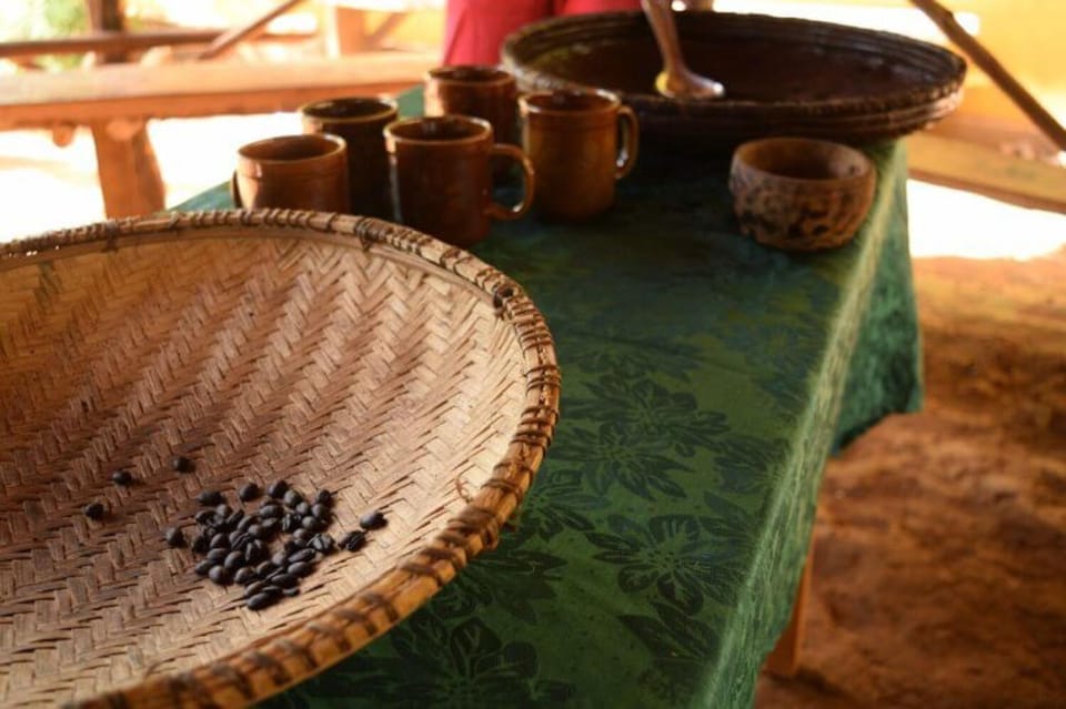 Visit a Coffee local Plantation | GetYourGuide