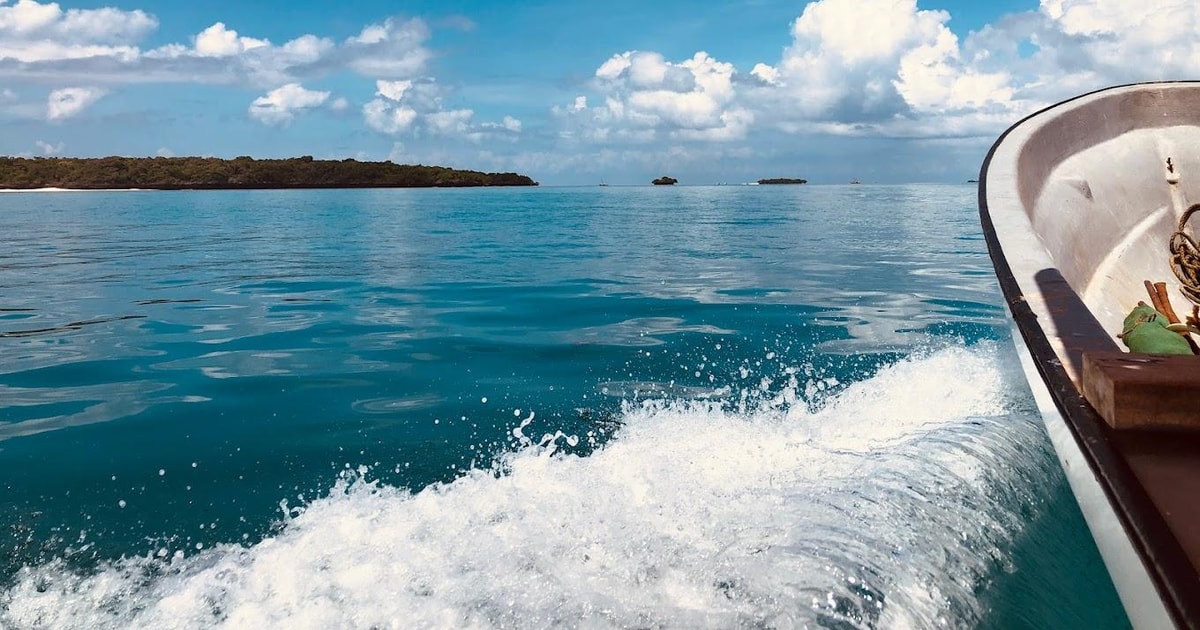 Private Tour: Dolphins & Safari Blue in Pungume Island | GetYourGuide