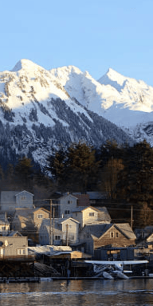 Sitka: Totem Poles, Raptor Centre, & Fortress of Bears Tour | GetYourGuide