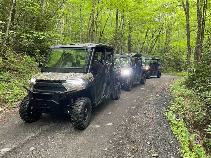Maggie Valley: Guided Scenic UTV Adventure | GetYourGuide