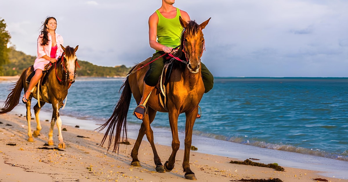 Horseback Riding by Macao Beach and Crystal Clear River | GetYourGuide