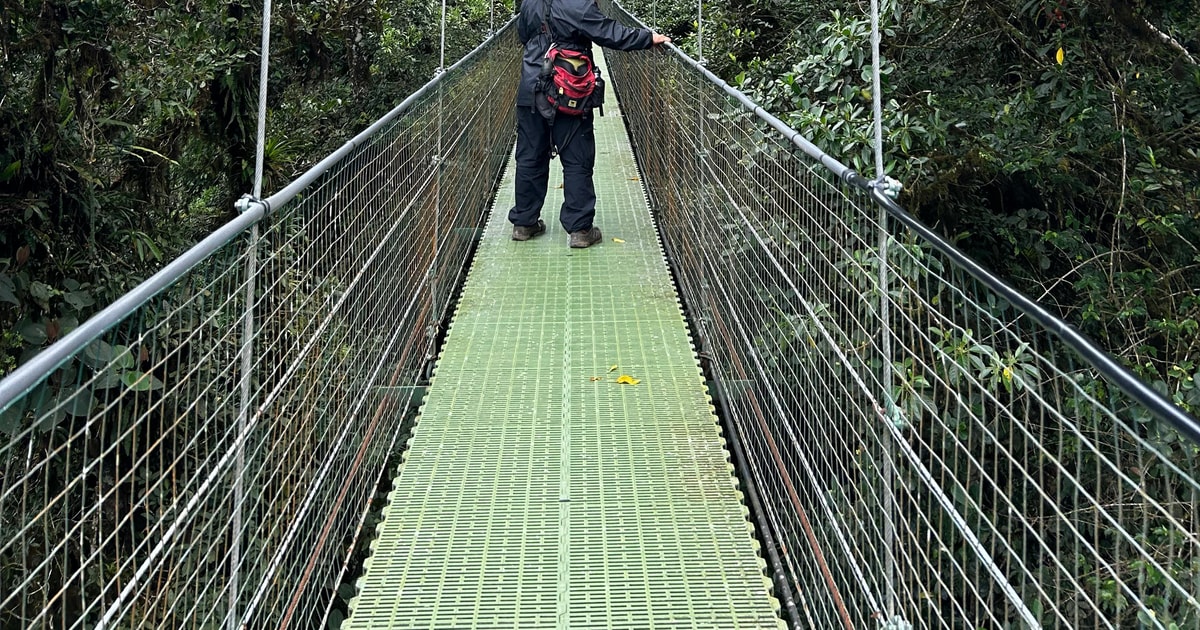 Guided Tour in the hanging bridges of Monteverde | GetYourGuide