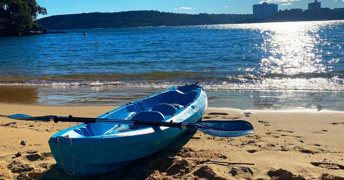Sydney: Tour guidato di prova in kayak da Manly | GetYourGuide