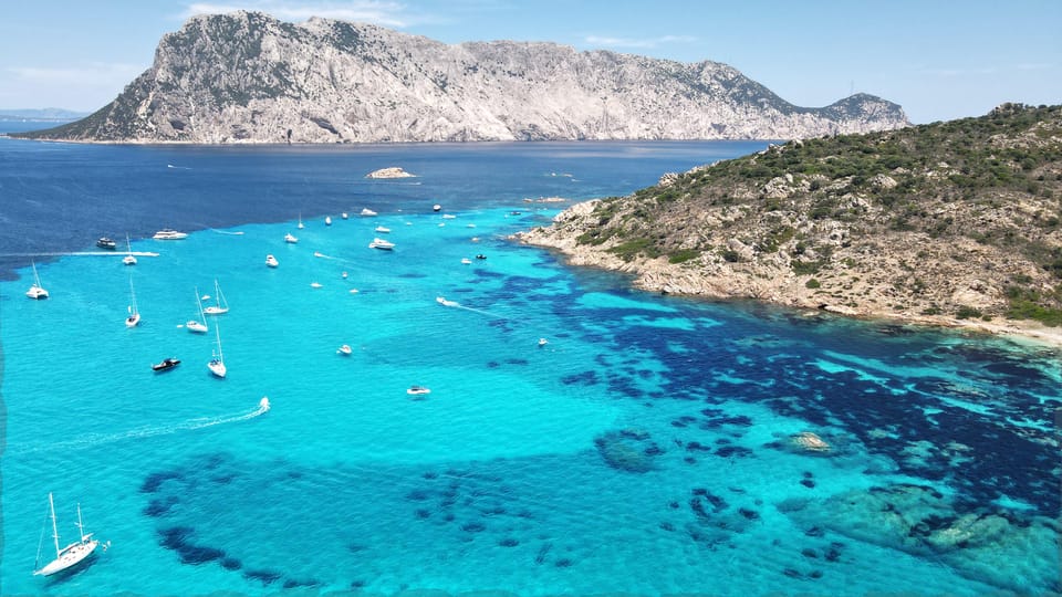 San Teodoro: Escursione in gommone alle isole Tavolara e Molara ...