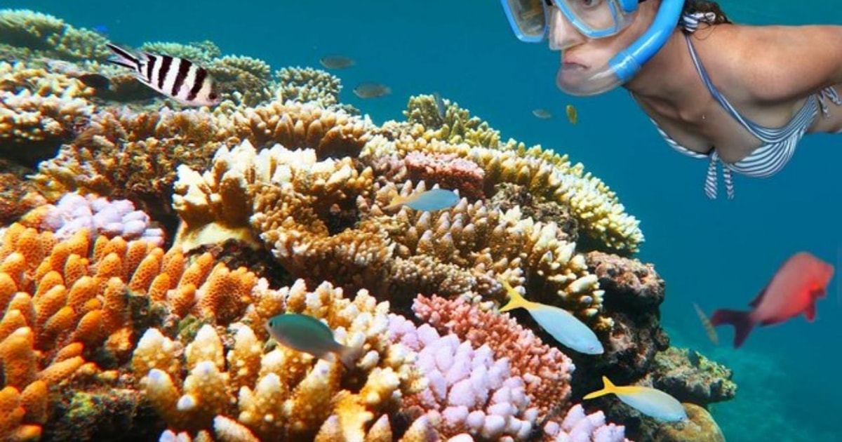 Pemba: Misali-Insel & Msewe-Suaheli-Tanz-Erlebnis | GetYourGuide