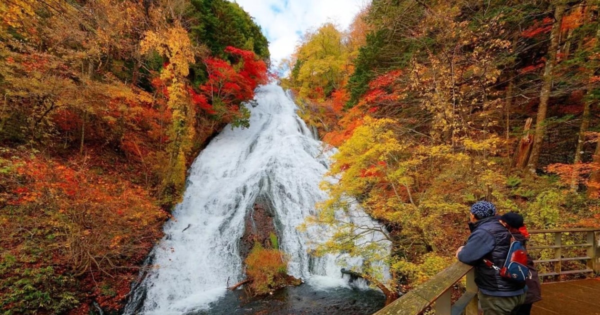 Ab Tokio: Nikko – private & anpassbare Tagestour | GetYourGuide