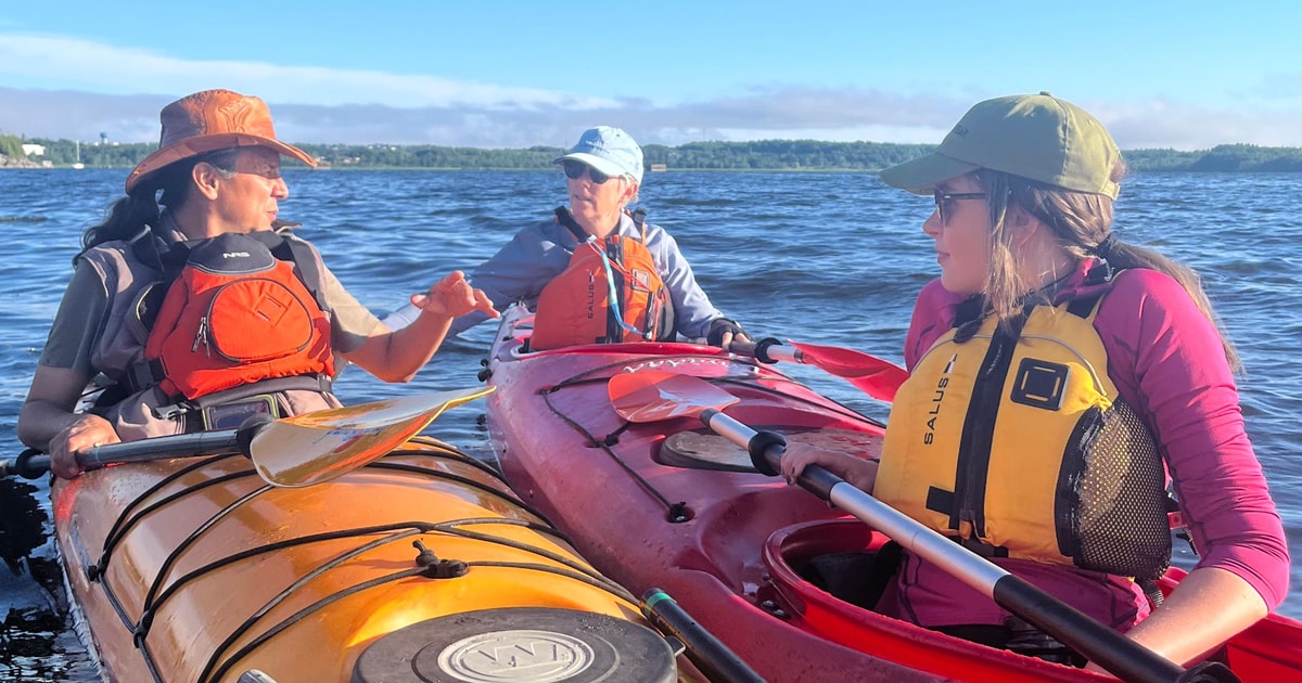 Saint John River: Kayaking with First Nations Storytellers | GetYourGuide