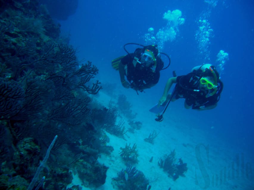 Scuba Diving, Snorkeling and Pick-up, Lunch | GetYourGuide