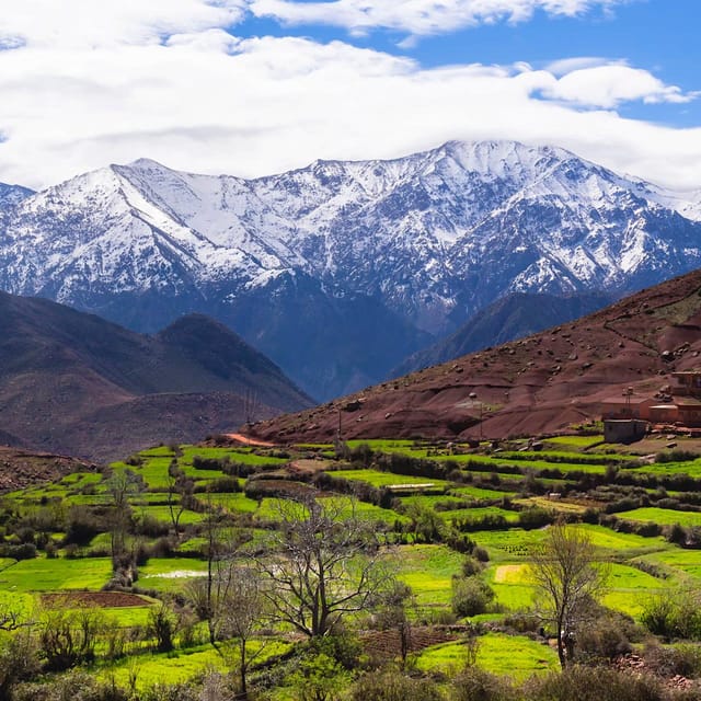 Excursion d'une journée dans le Haut Atlas et les 5 vallées depuis ...
