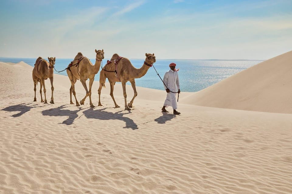 Doha: Vip Desert Private Safari, Dune Bashing and inland sea | GetYourGuide