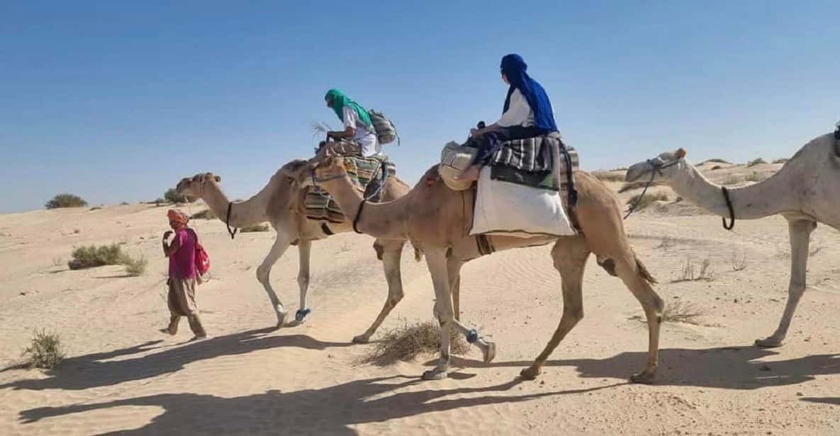 A Night in Camp in the Douz Desert | GetYourGuide