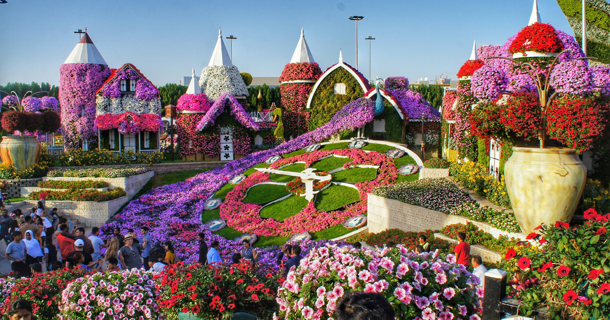 Dubai: Excursión Privada a la Flora y Fauna de Dubai | GetYourGuide