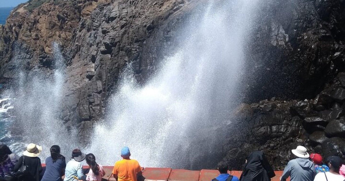 Ensenada: Aventura a Caballo en La Bufadora y la Playa | GetYourGuide
