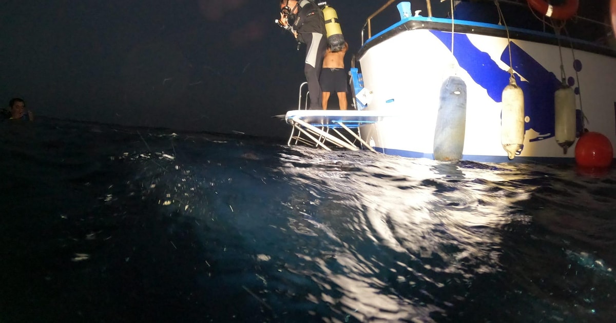 Larnaca: Zenobia Wreck Night Dive Certification With SSI | GetYourGuide