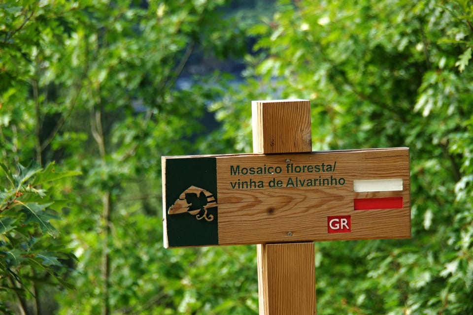 Alvarinho Wine Full Day Tour | GetYourGuide