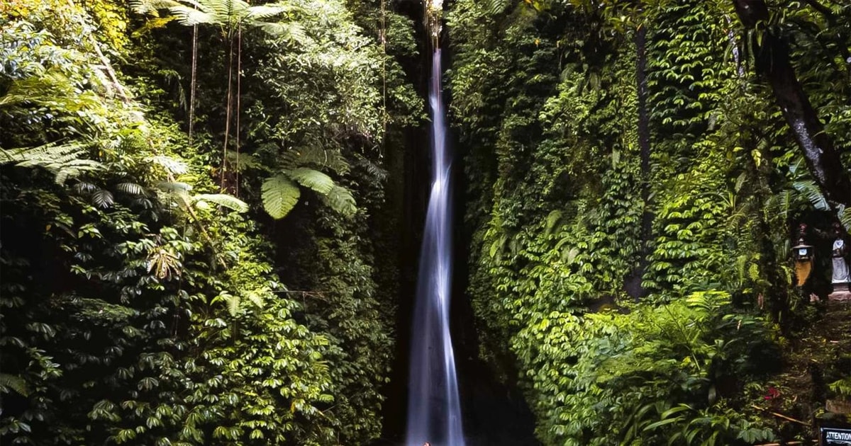 North Bali: Leke Leke Waterfall/Ulundanu Tample/Handara Gate | GetYourGuide