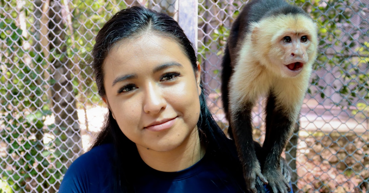 Akumal: Visit the Monkey Sanctuary, Cenote and Yalku Lagoon | GetYourGuide