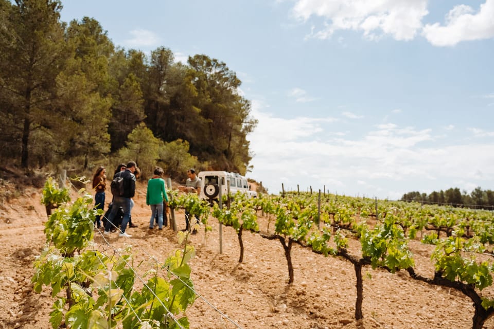 Montserrat & Cava Winery Tour: Day Trip from Barcelona | GetYourGuide