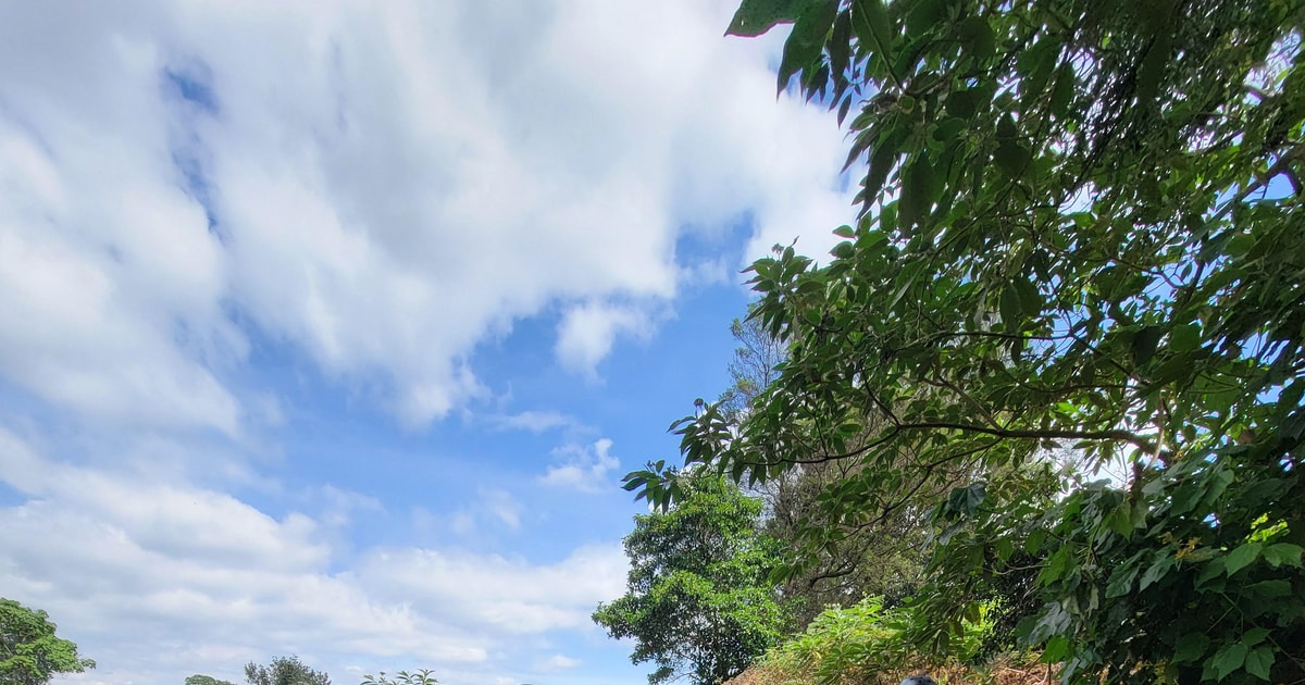 Tigoni: E-Bike-Tour | GetYourGuide