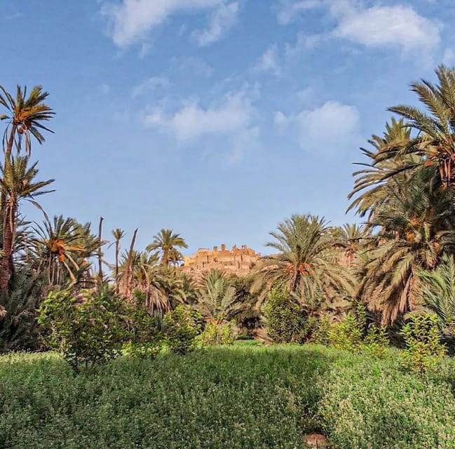 From Agadir : Taroudant & Tiout Oasis Day Trip with Lunch | GetYourGuide