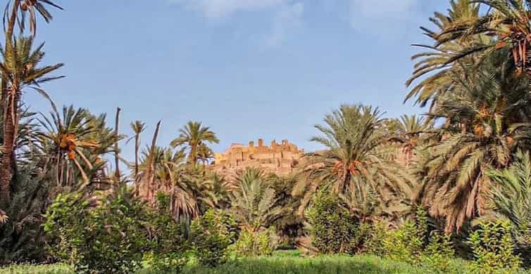 From Agadir : Taroudant & Tiout Oasis Day Trip with Lunch | GetYourGuide