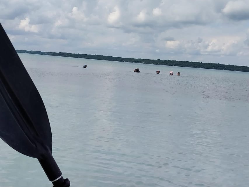 Merida: Sisal Kayak Through Mangroves and Bird Watching Tour | GetYourGuide