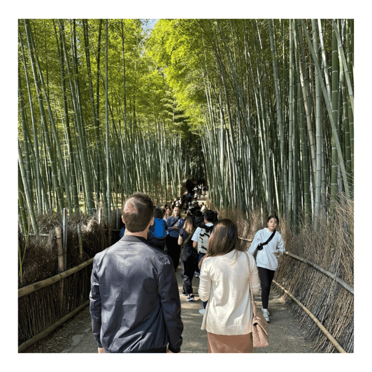 Kyoto: Private Kyoto Car Tour with Hotel Pickup and Drop-off | GetYourGuide
