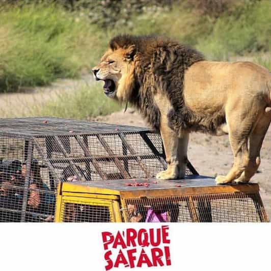 Santiago, Parque Safari | GetYourGuide