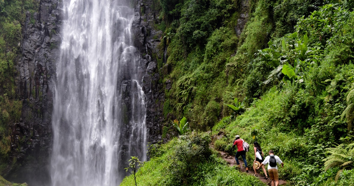 Cascada de Materuni, aguas termales de Chemka o tour del café ...