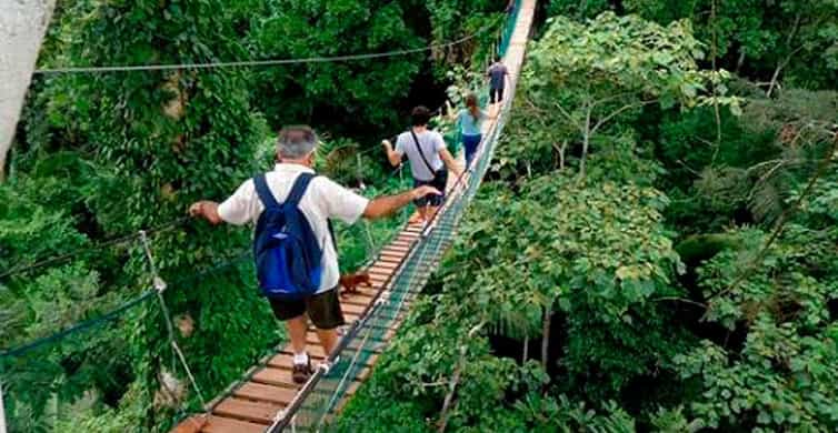 Tambopata: Lago Sandoval and Colpa of Loros 3- Days | GetYourGuide