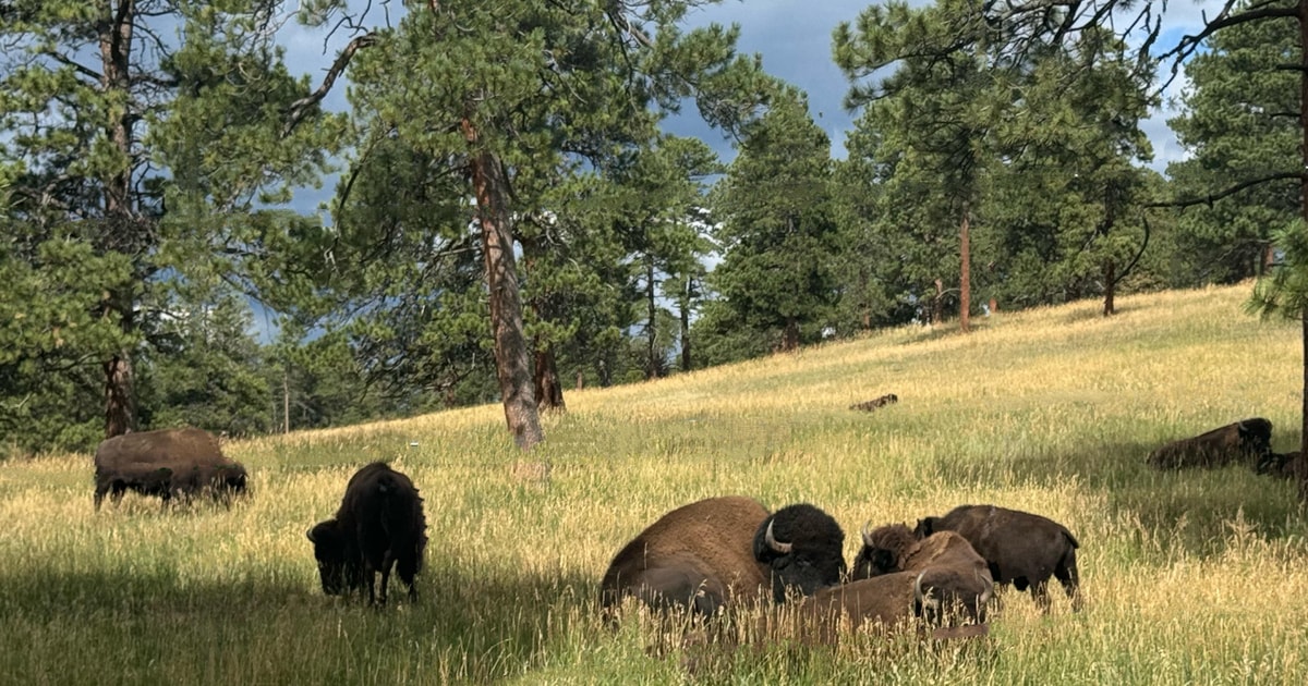 Denver: City Highlights, Golden, and Lookout Mountain | GetYourGuide