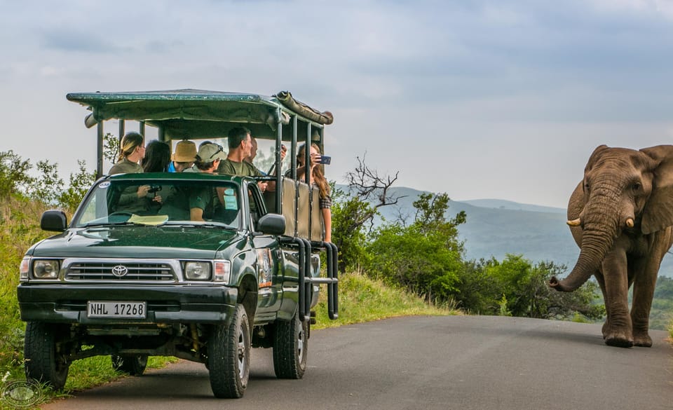 Vanuit St. Lucia: iSimangaliso Sunset Safari | GetYourGuide
