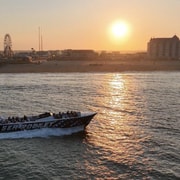 Sea Rocket Sunset & OC Harbor Cruise in Ocean City, MD - 2026 (Verified ...