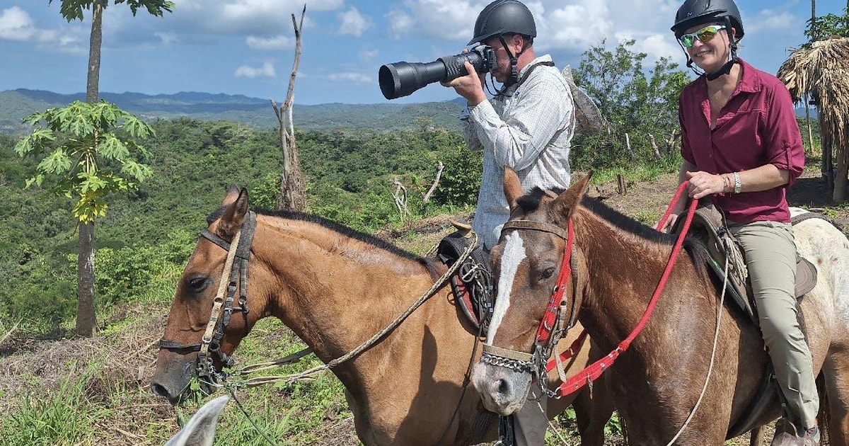 Scenic Horseback Ride in Tropical Mountain Reserve | GetYourGuide