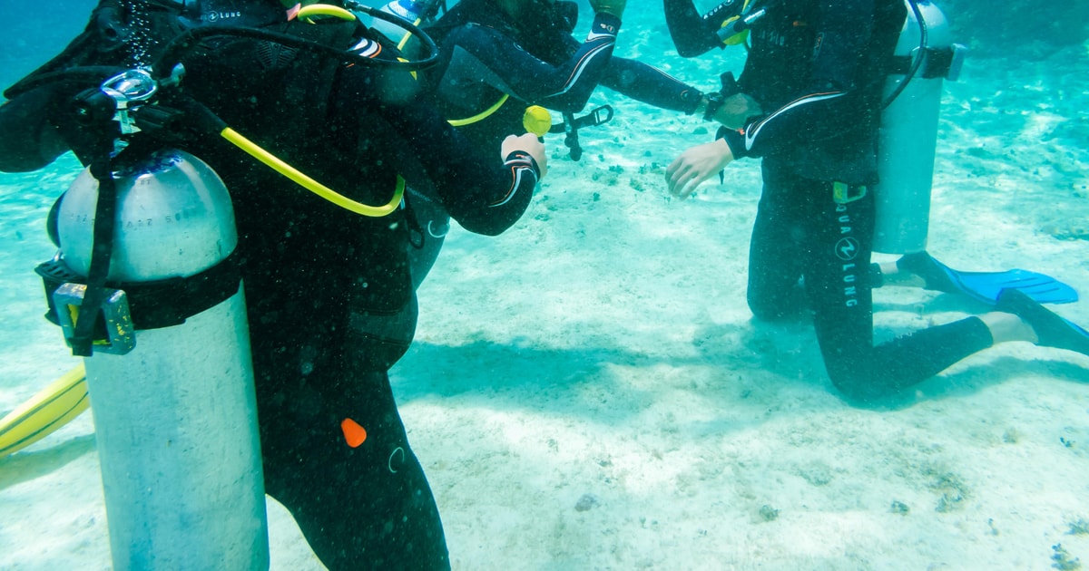 Discover Scuba Diving in Cozumel 2 Tanks | GetYourGuide