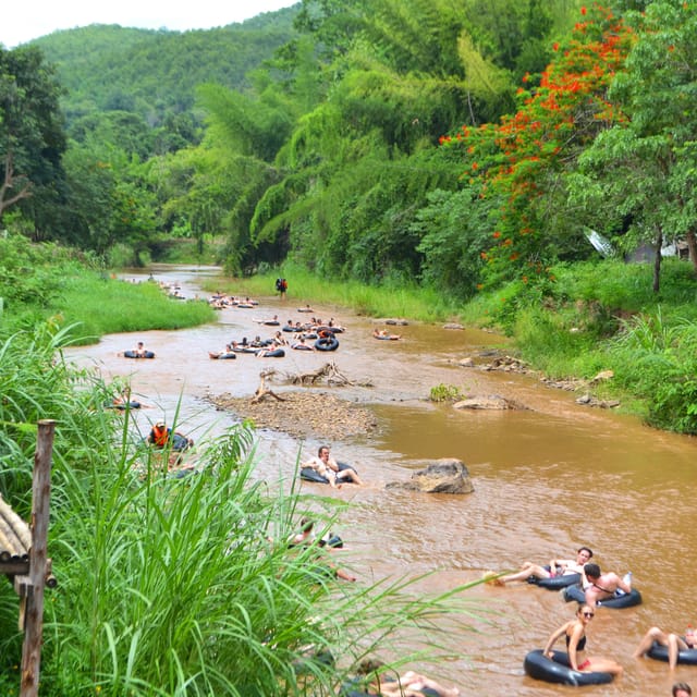 Jungle Tipsy Tubing | GetYourGuide