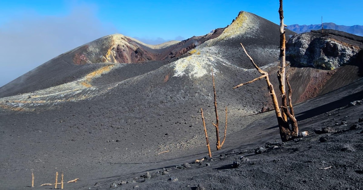 La Palma: Tour zum neuen Vulkan Tajogaite 360º. | GetYourGuide