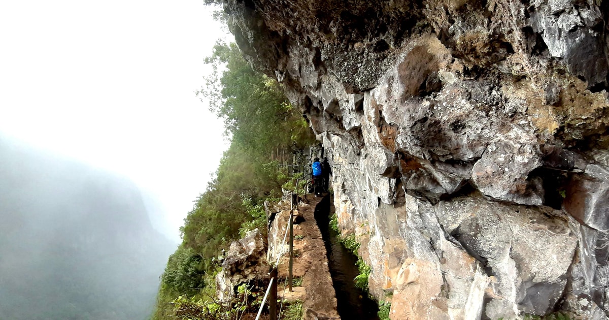 Madeira: Jungle Fever Levada Caldeirao Verde Hike Santana | GetYourGuide