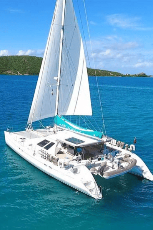 Nage avec les dauphins sur la côte ouest de l'île Maurice, rocher de ...